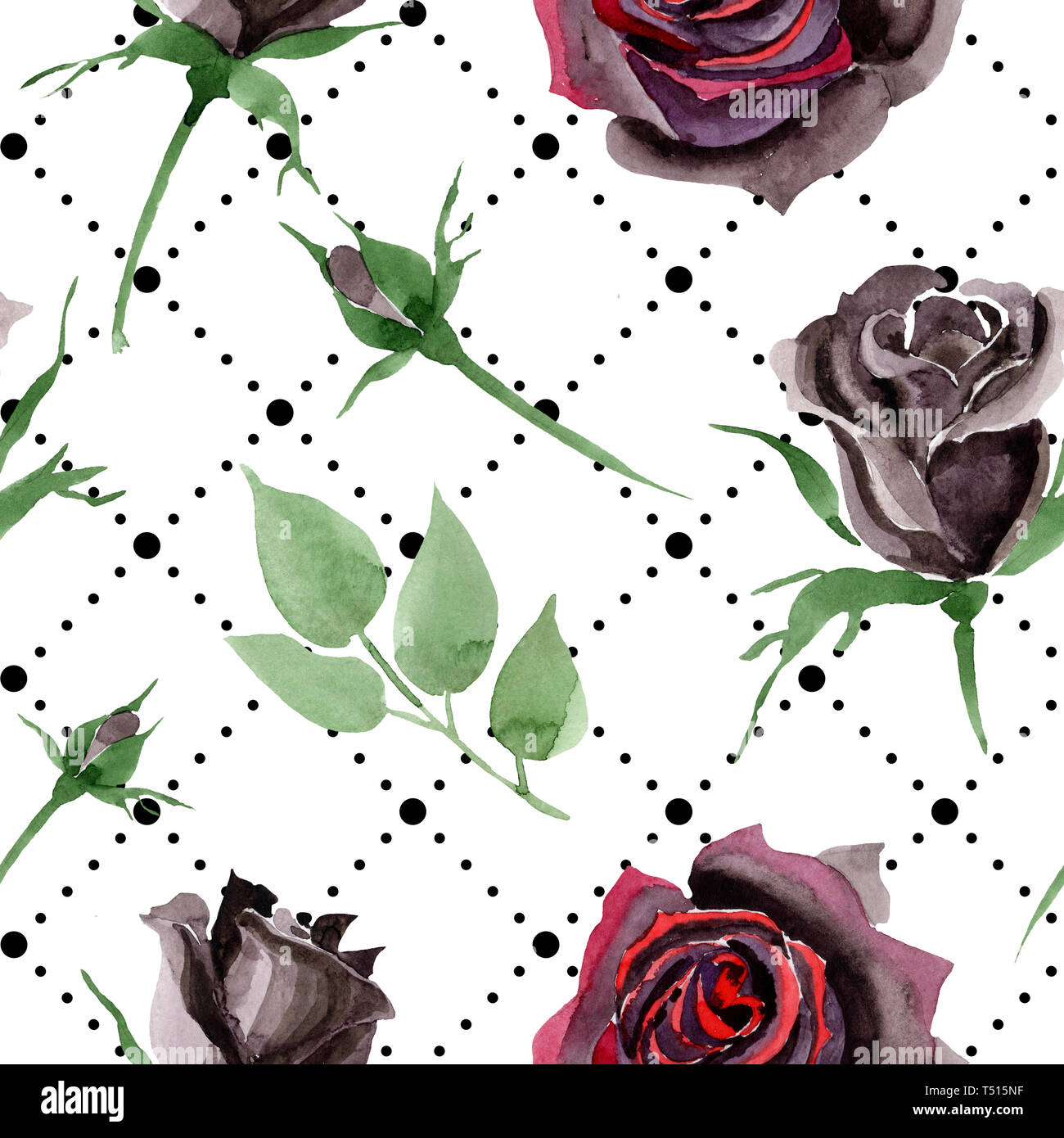 Black rose floral botanical flowers. Watercolor background illustration ...