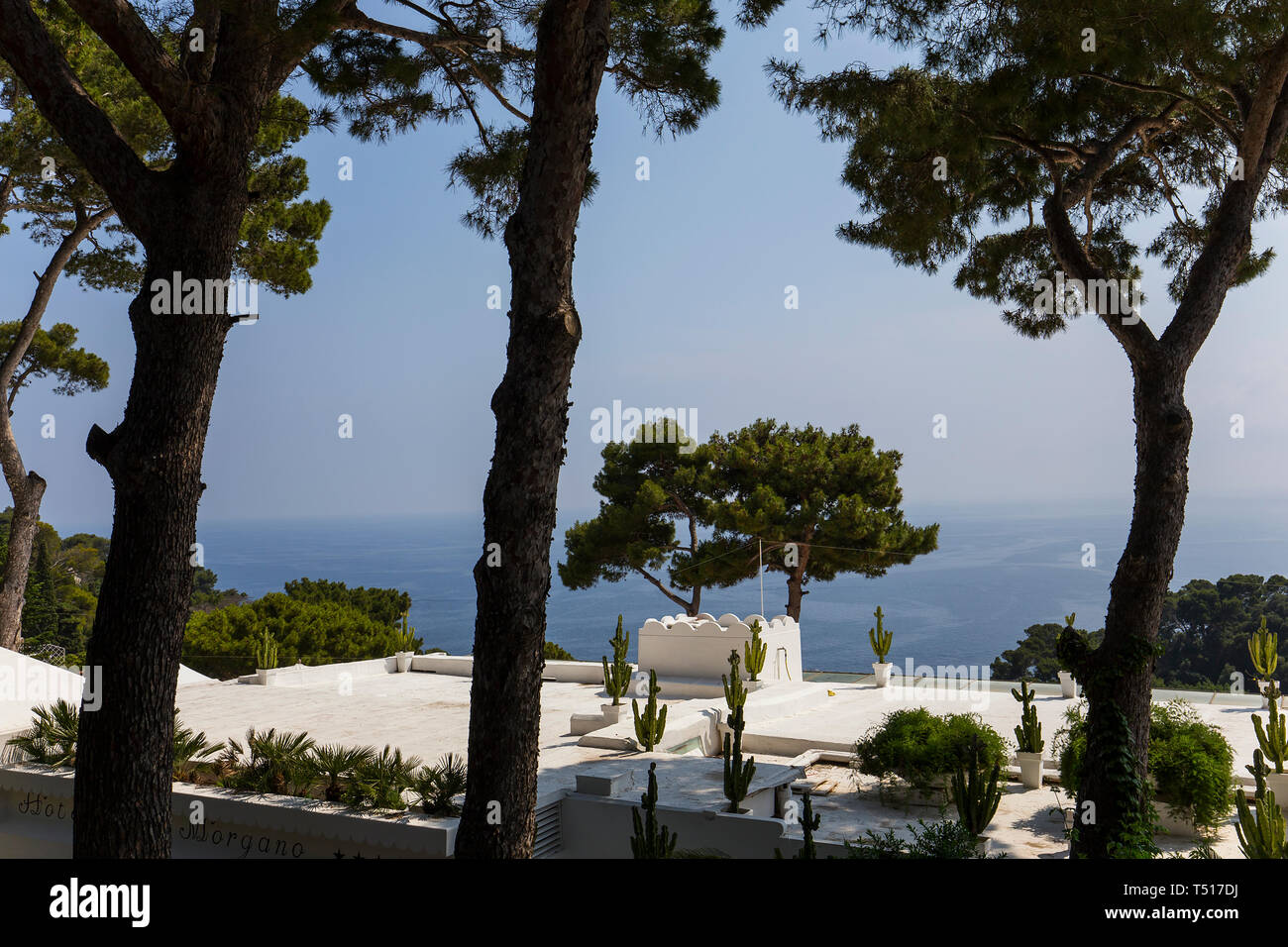 cliffs of Capri island, in summertime, Capri, Italy Stock Photo - Alamy