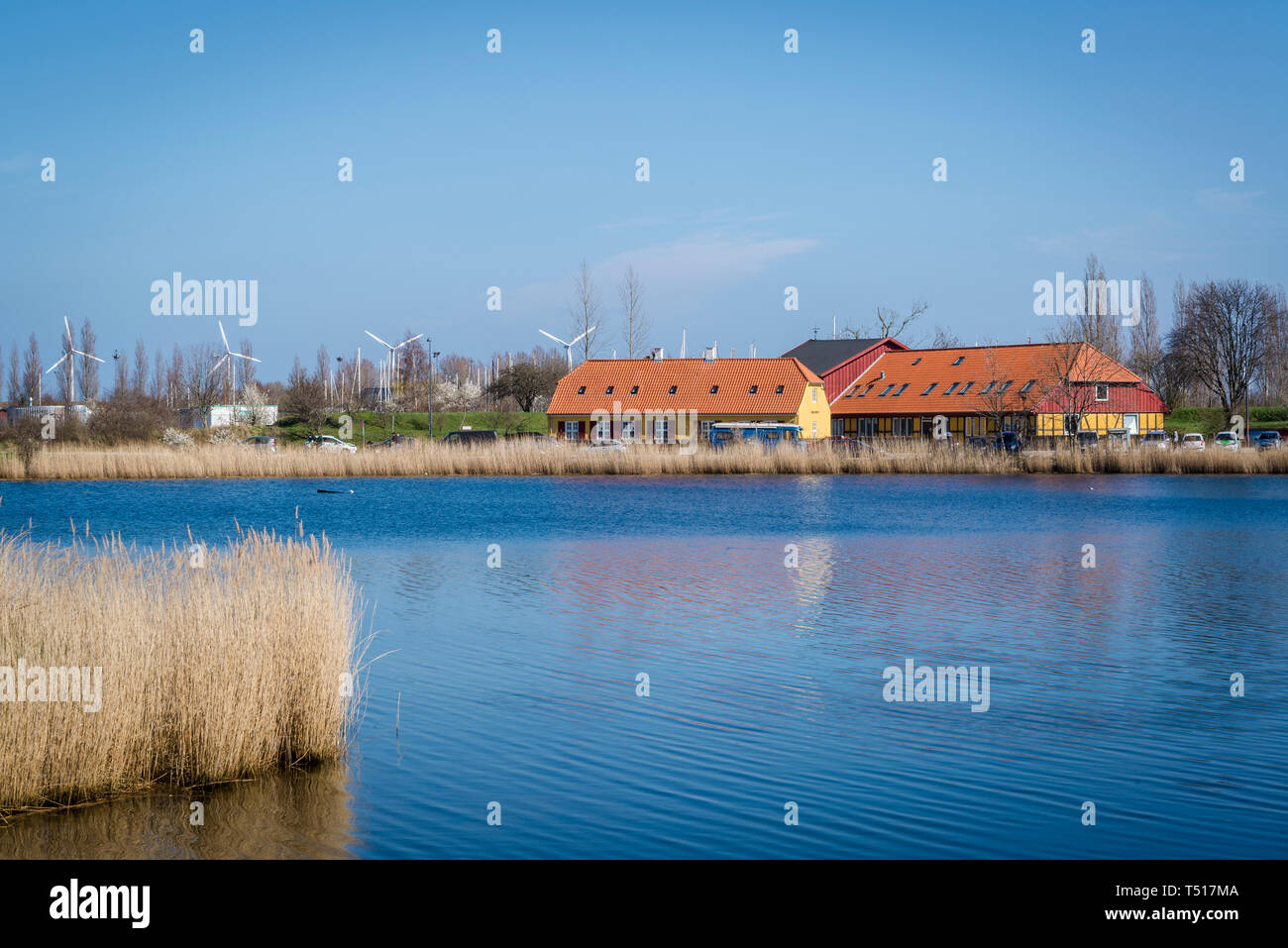 Wind turbines and houses on Refshaleoen island, part of Amager island ...