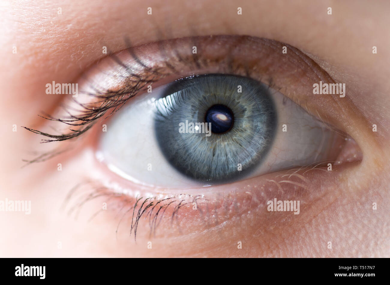 Human eye and space hi-res stock photography and images - Alamy