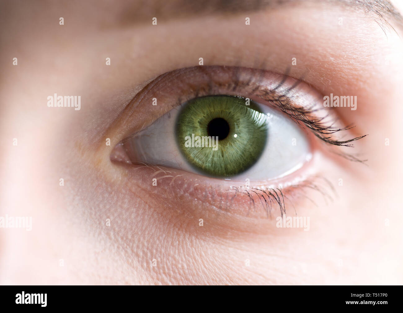Green eyebrows hi-res stock photography and images - Alamy