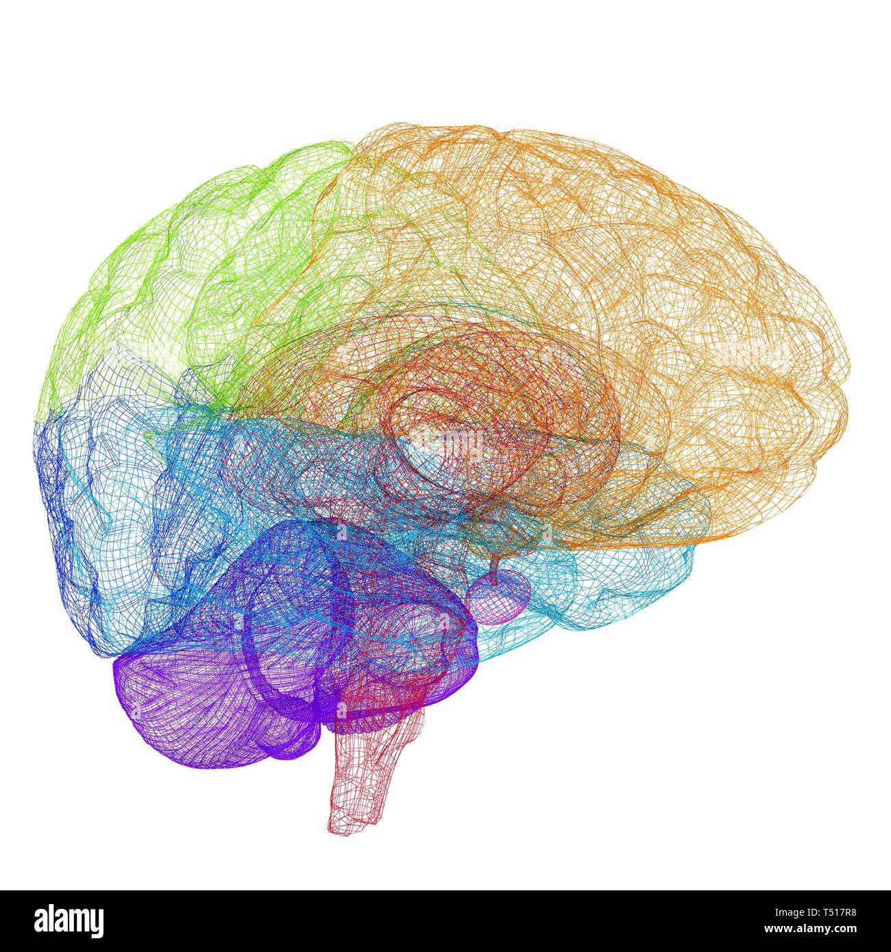 Creative concept of the human brain Stock Photo - Alamy