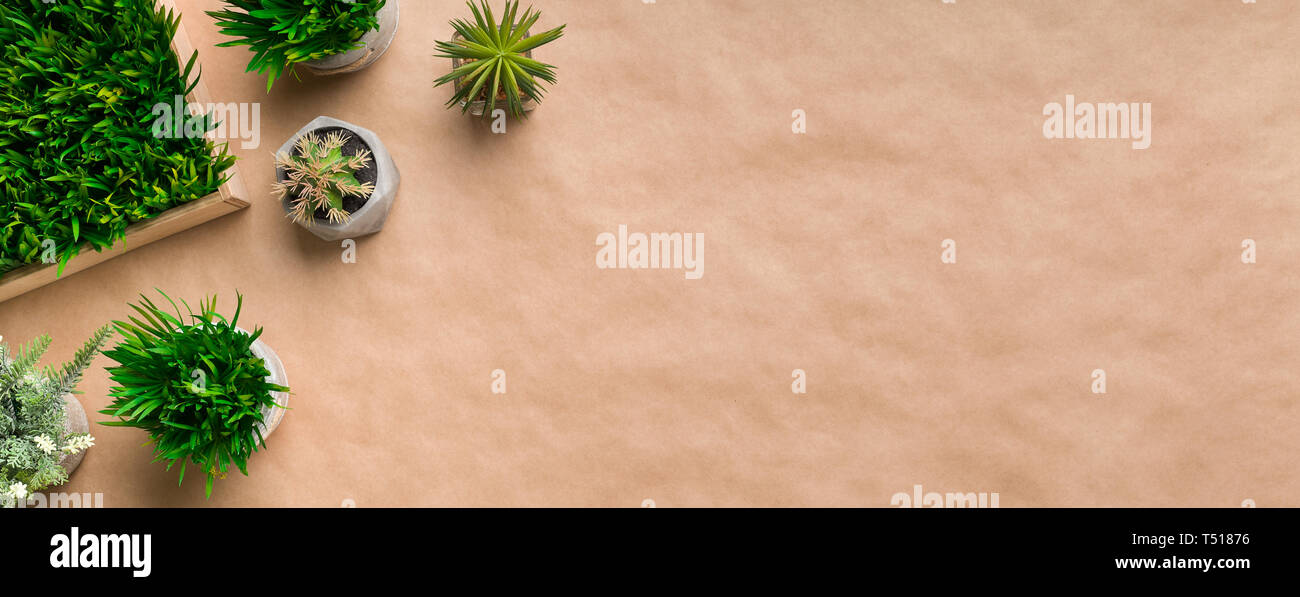 Various plants in pots on craft paper background Stock Photo - Alamy