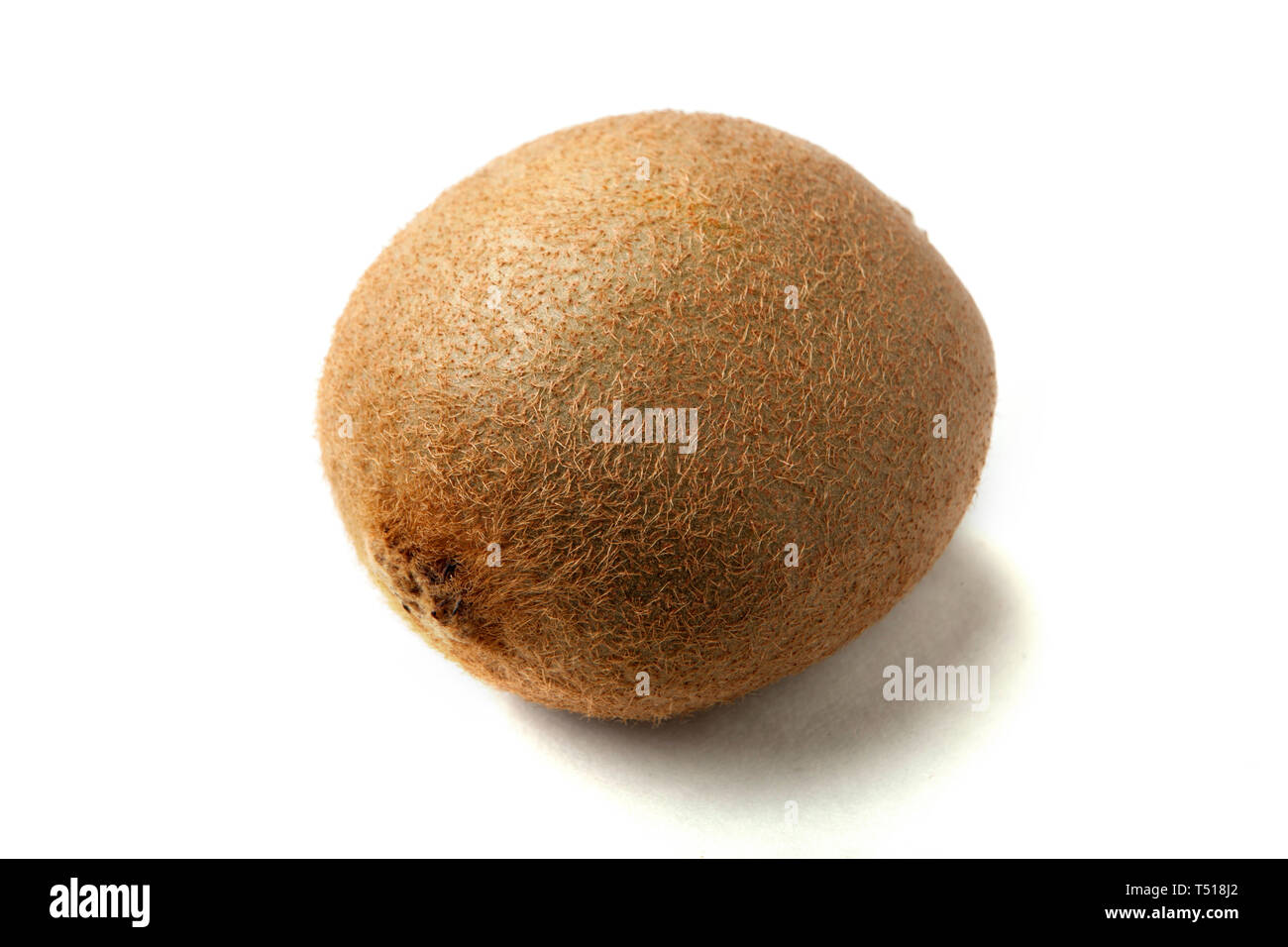 Single seed fruits hi-res stock photography and images - Alamy