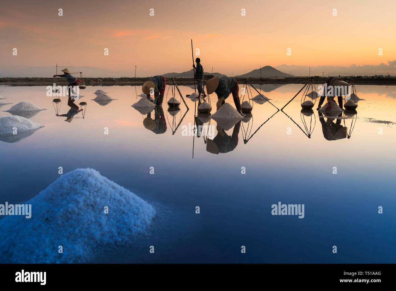 The women are working on the salt field at dawn. Salt field Hon Khoi in ...