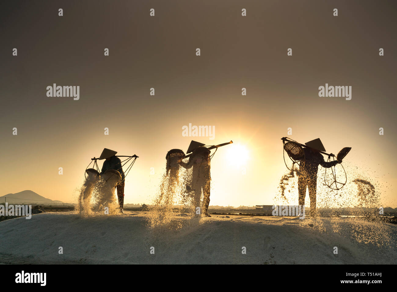 The women are working on the salt field at dawn. Salt field Hon Khoi in ...