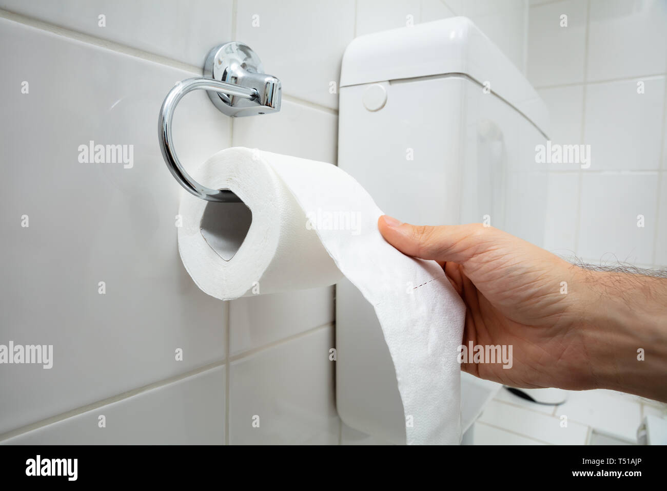 Using toilet hi-res stock photography and images - Alamy