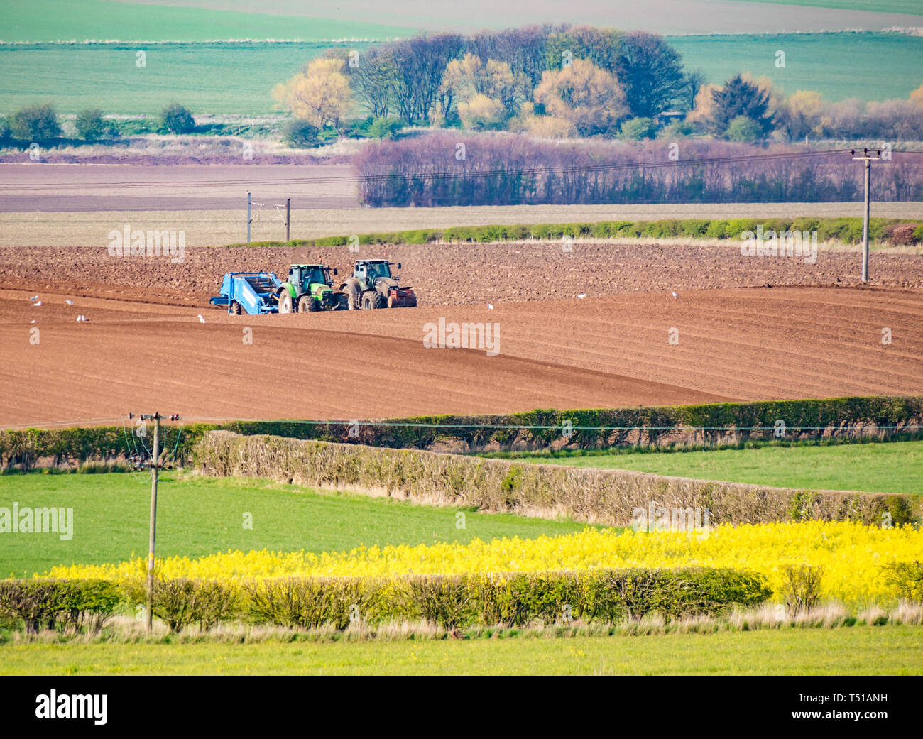 Rural field tractors hi-res stock photography and images - Alamy