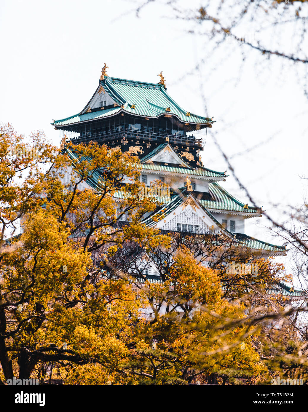 Osaka Castle surrounded with trees and cherry blossoms in Japan Stock ...