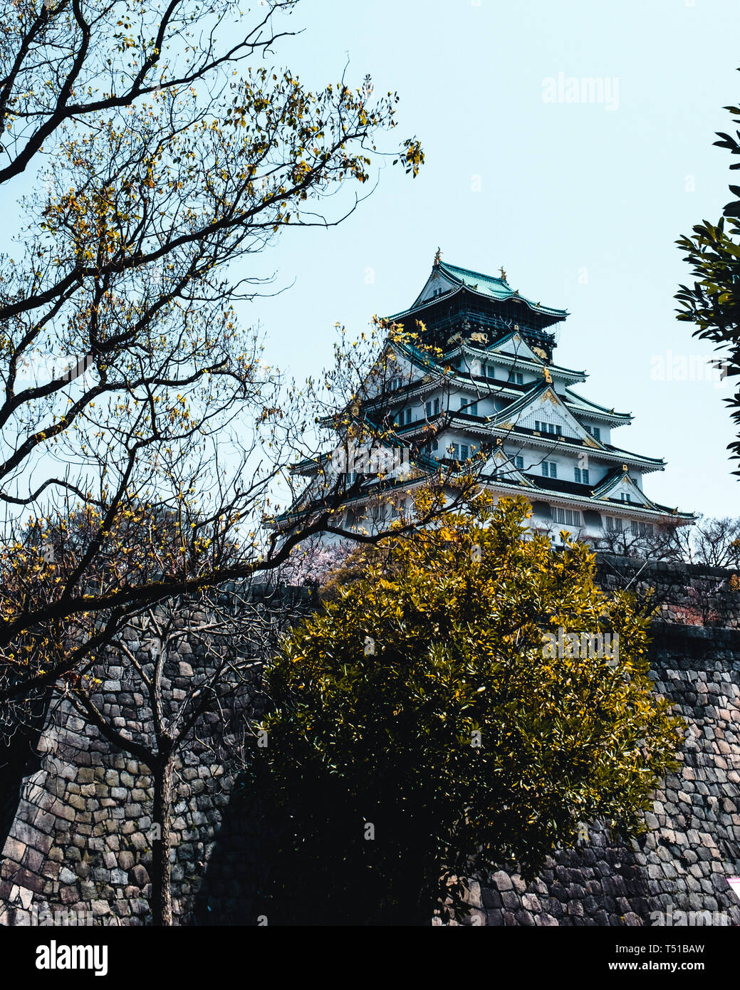 Osaka Castle surrounded with trees and cherry blossoms in Japan Stock ...