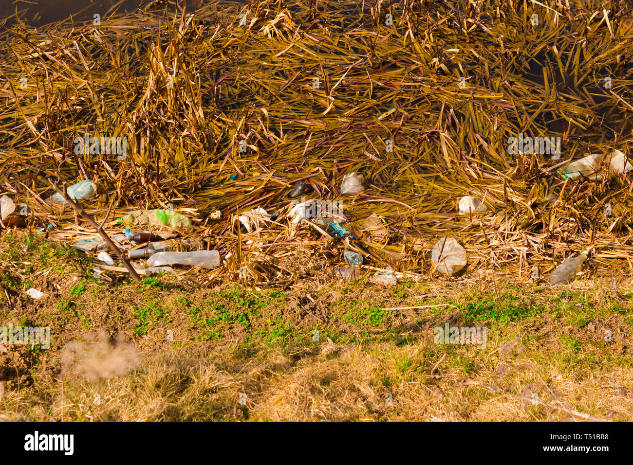 Garbage, Waste, Plastic Waste, Garbage Plastic Bottle Background ...