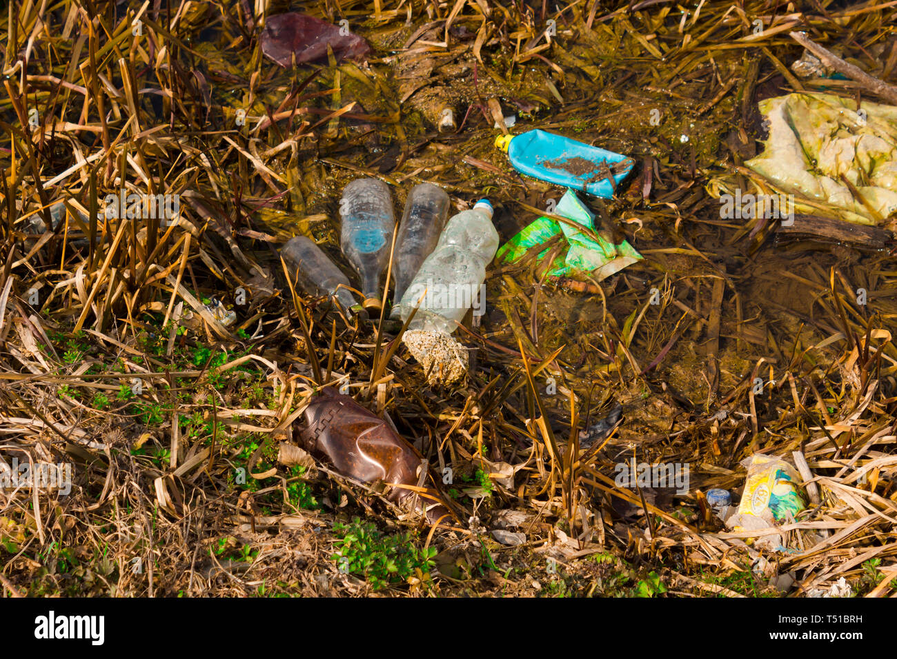 Garbage, Waste, Plastic Waste, Garbage Plastic Bottle Background ...