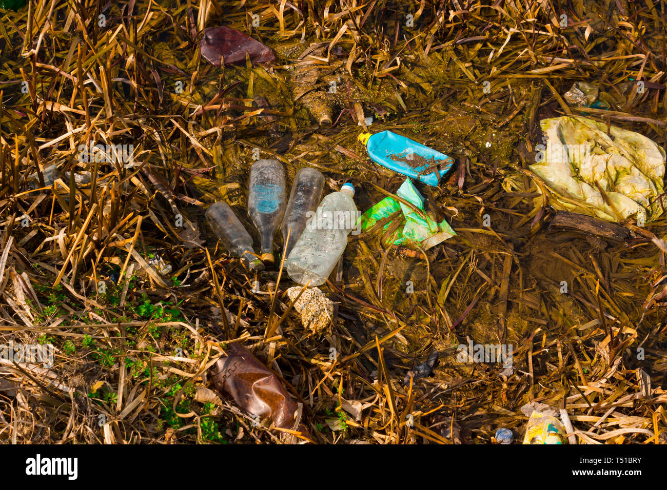 Garbage, Waste, Plastic Waste, Garbage Plastic Bottle Background ...