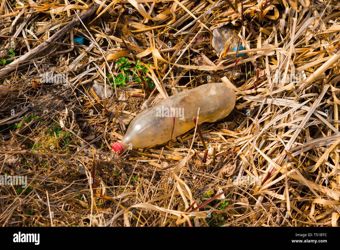 Garbage, Waste, Plastic Waste, Garbage Plastic Bottle Background ...