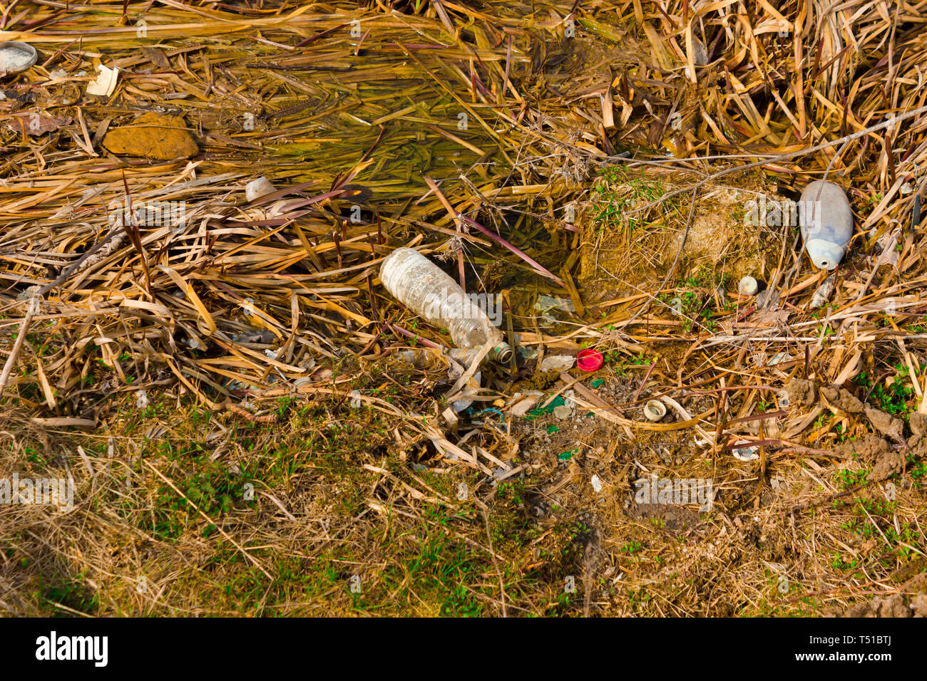 Garbage, Waste, Plastic Waste, Garbage Plastic Bottle Background ...