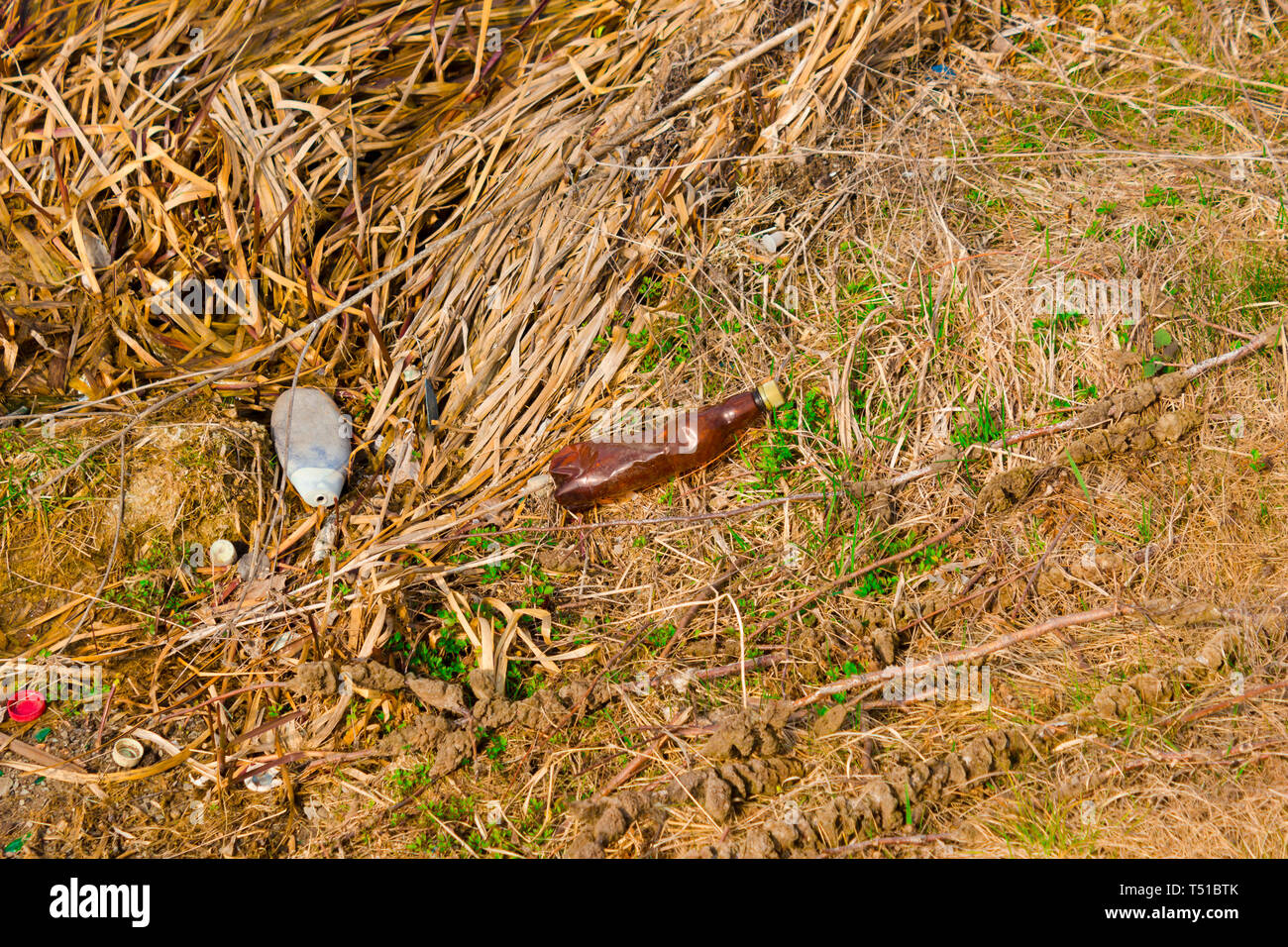 Garbage, Waste, Plastic Waste, Garbage Plastic Bottle Background ...