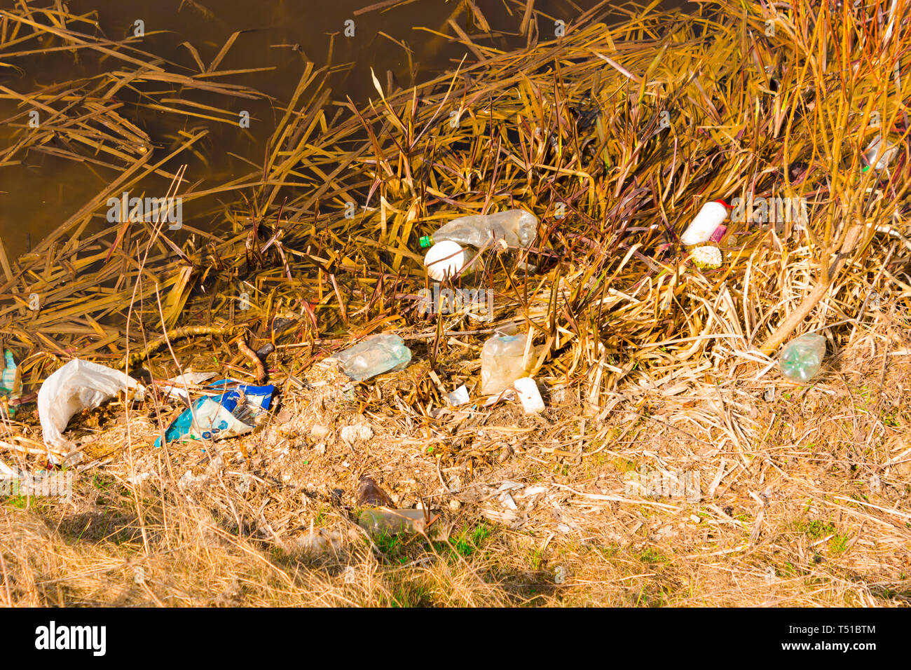 Garbage, Waste, Plastic Waste, Garbage Plastic Bottle Background ...