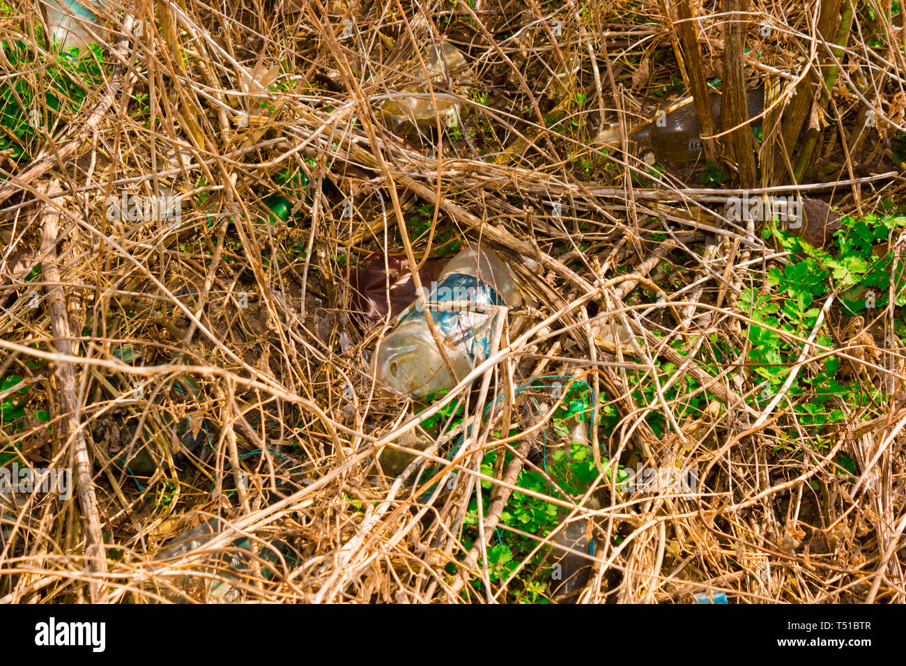 Garbage, Waste, Plastic Waste, Garbage Plastic Bottle Background ...