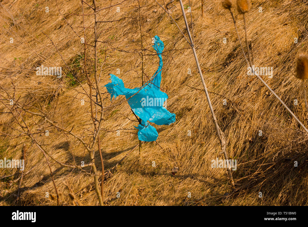 Garbage, Waste, Plastic Waste, Garbage Plastic Bottle Background ...