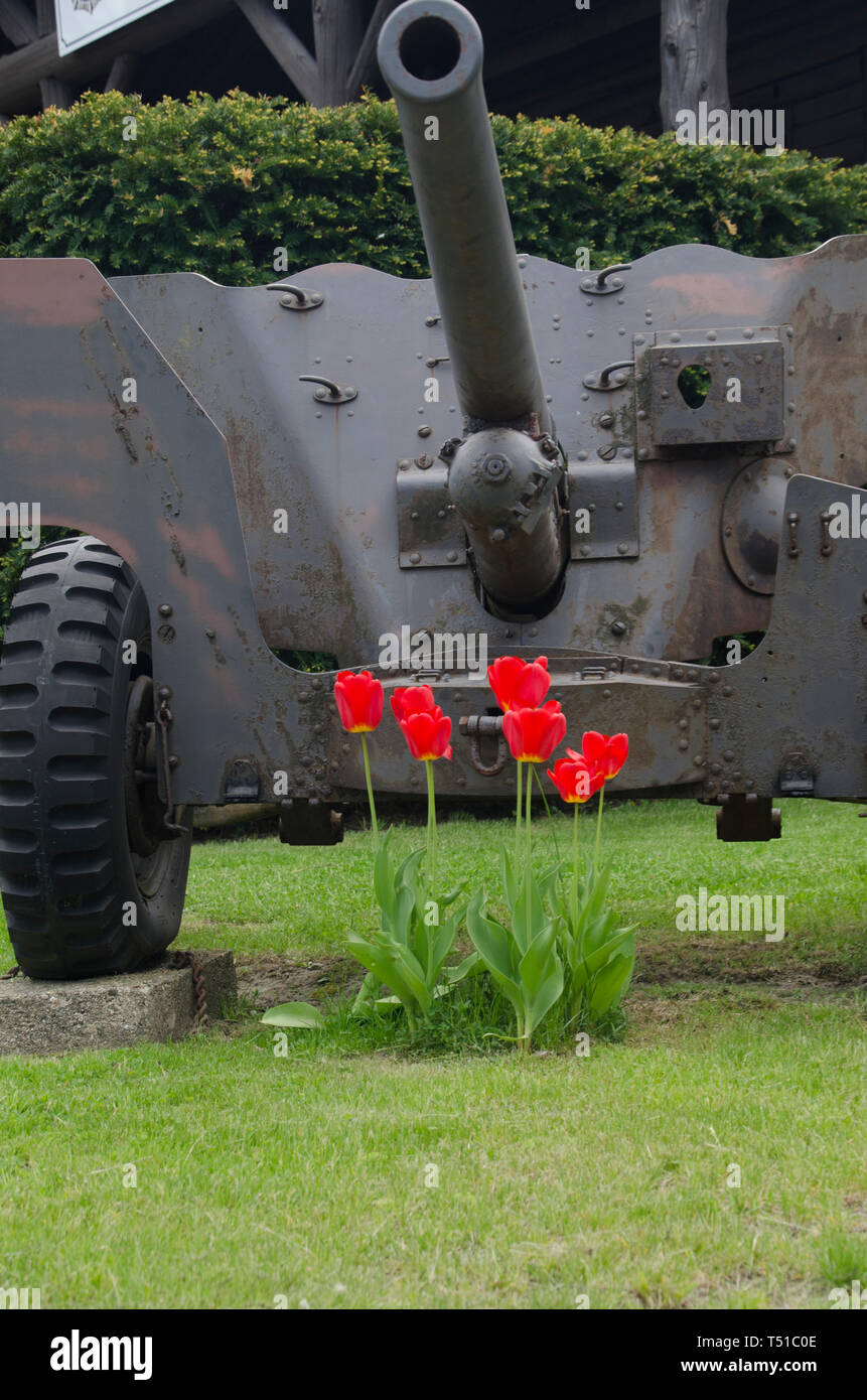 Sharon mcdonnell hi-res stock photography and images - Alamy