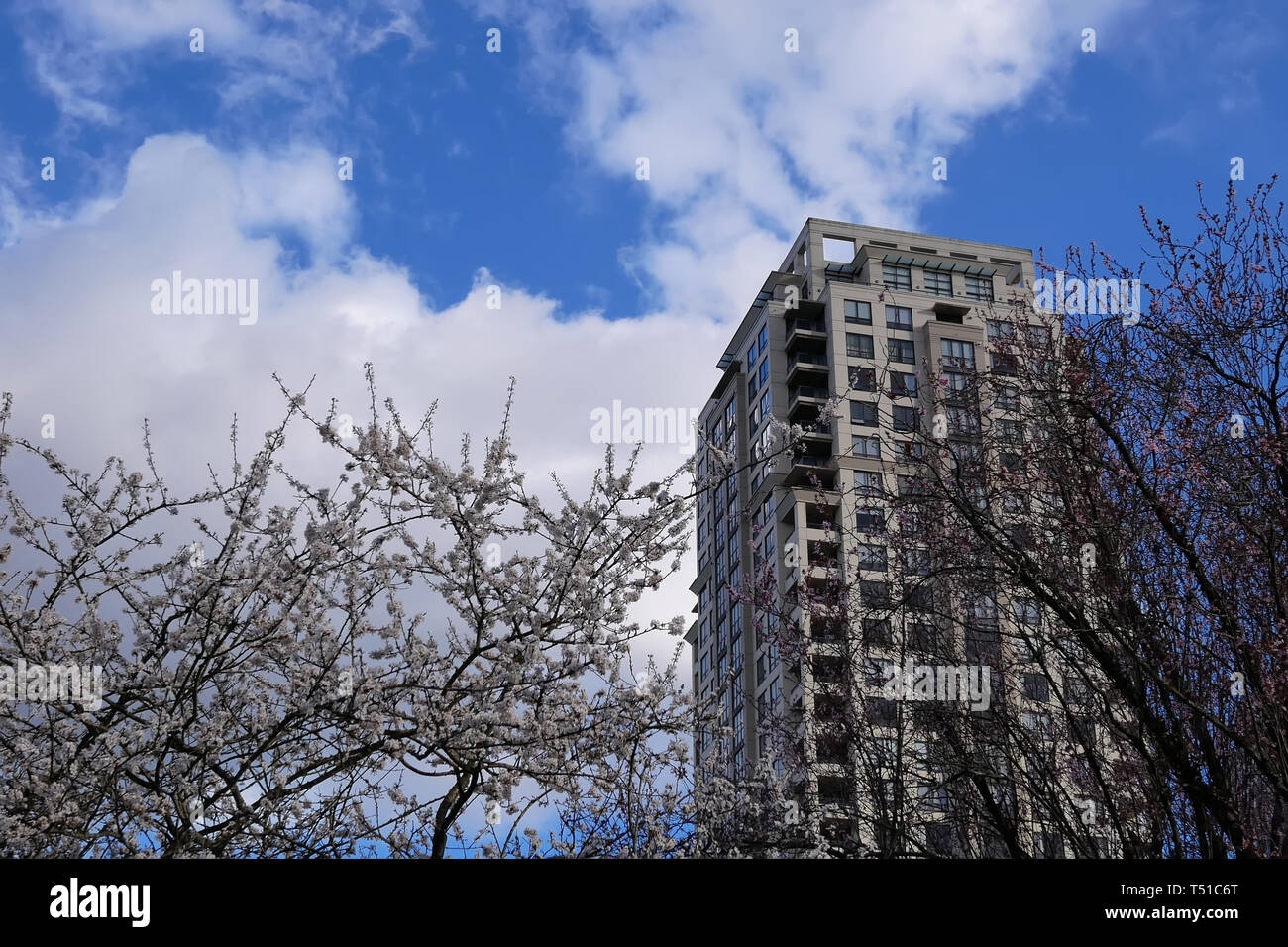 High rise building landscape hi-res stock photography and images - Alamy