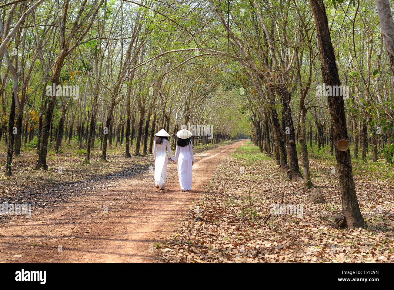 Binh Phuoc province, Viet Nam - March 5, 2017: models in vietnamese ...