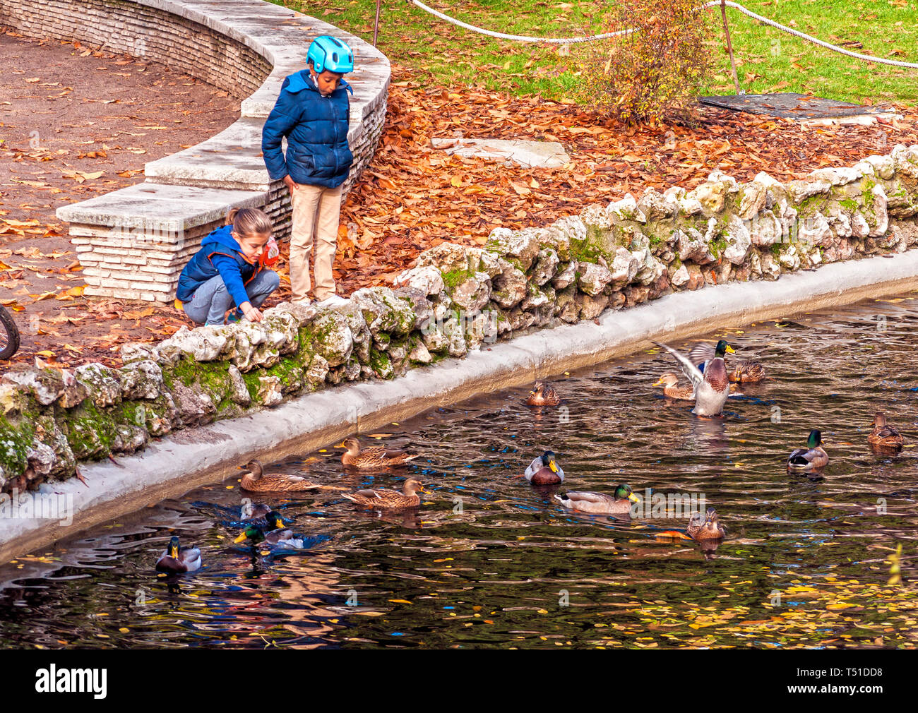 Estanque de patos hi-res stock photography and images - Alamy