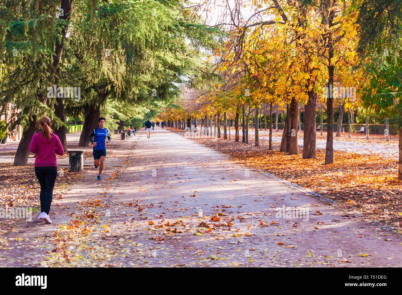 Corriendo en el Parque de El Retiro. Madrid. España Stock Photo - Alamy