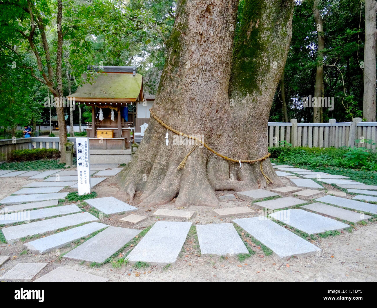 Izanagi shrine awaji hi-res stock photography and images - Alamy
