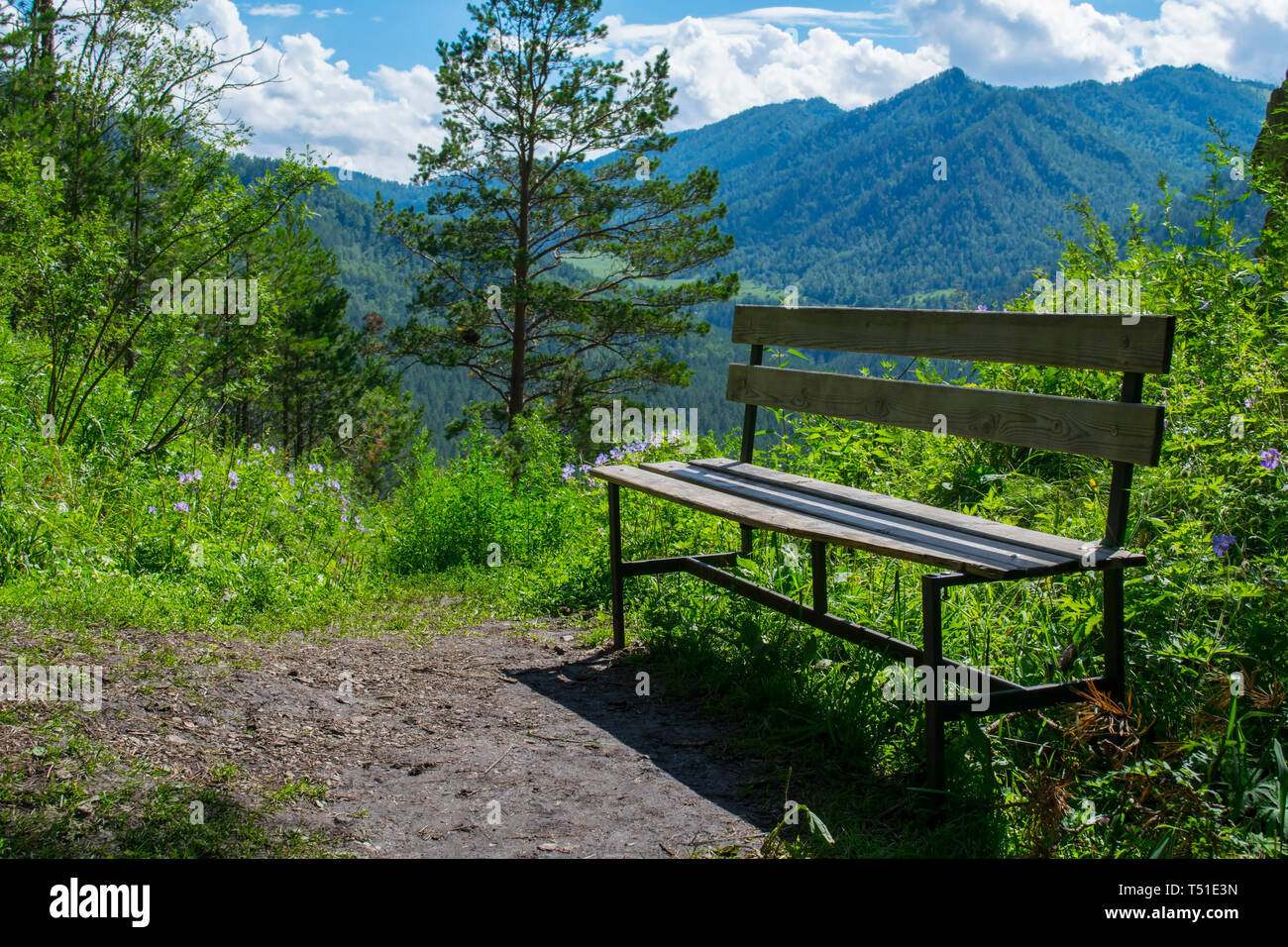 bench on a mountain in the woods Stock Photo - Alamy