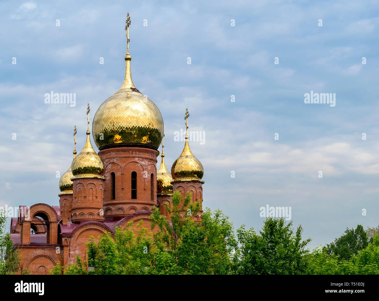 view of the unfinished brick Church with gold domes behind the branches ...