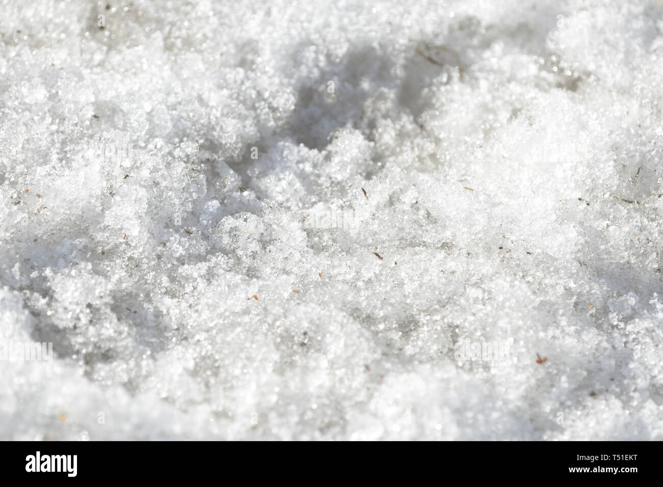 Abstract snow texture. Early spring snow background close up Stock ...