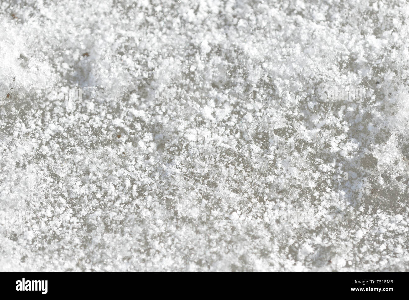 Abstract snow texture. Early spring snow background close up Stock ...