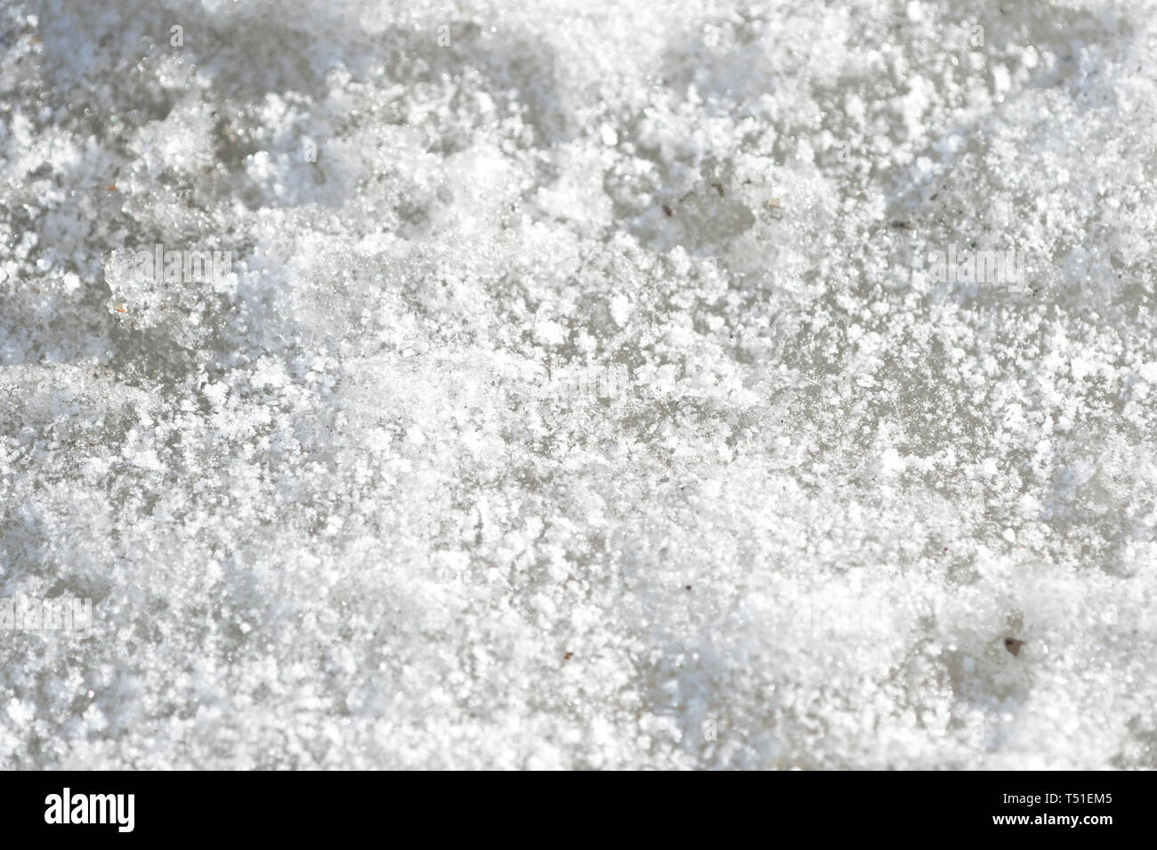 Abstract snow texture. Early spring snow background close up Stock ...