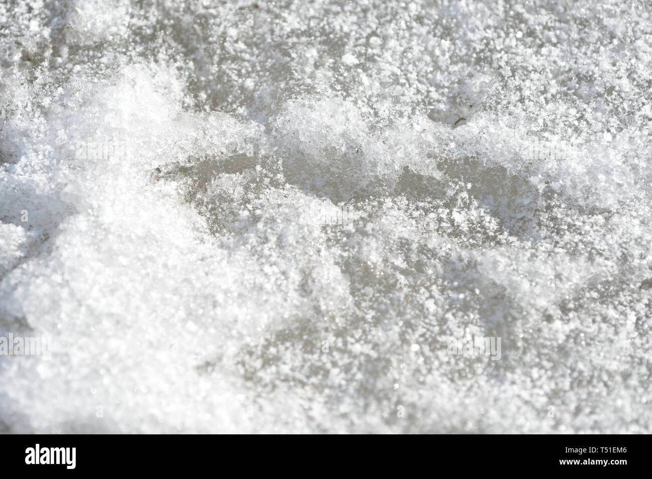 Abstract snow texture. Early spring snow background close up Stock ...