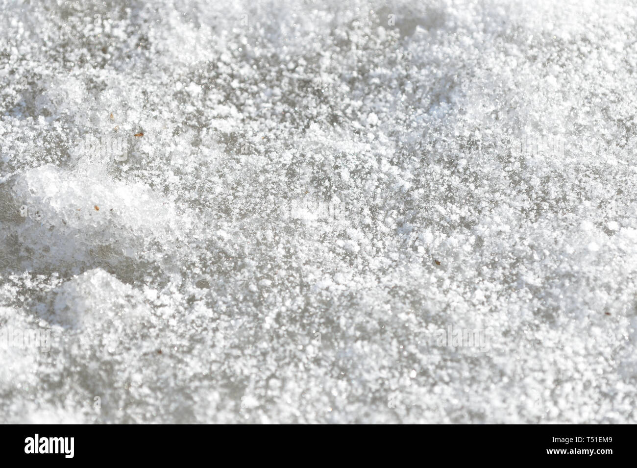 Abstract snow texture. Early spring snow background close up Stock ...