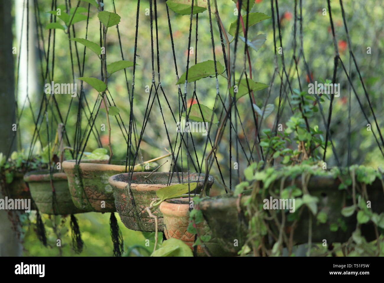 Yellowall hi-res stock photography and images - Alamy