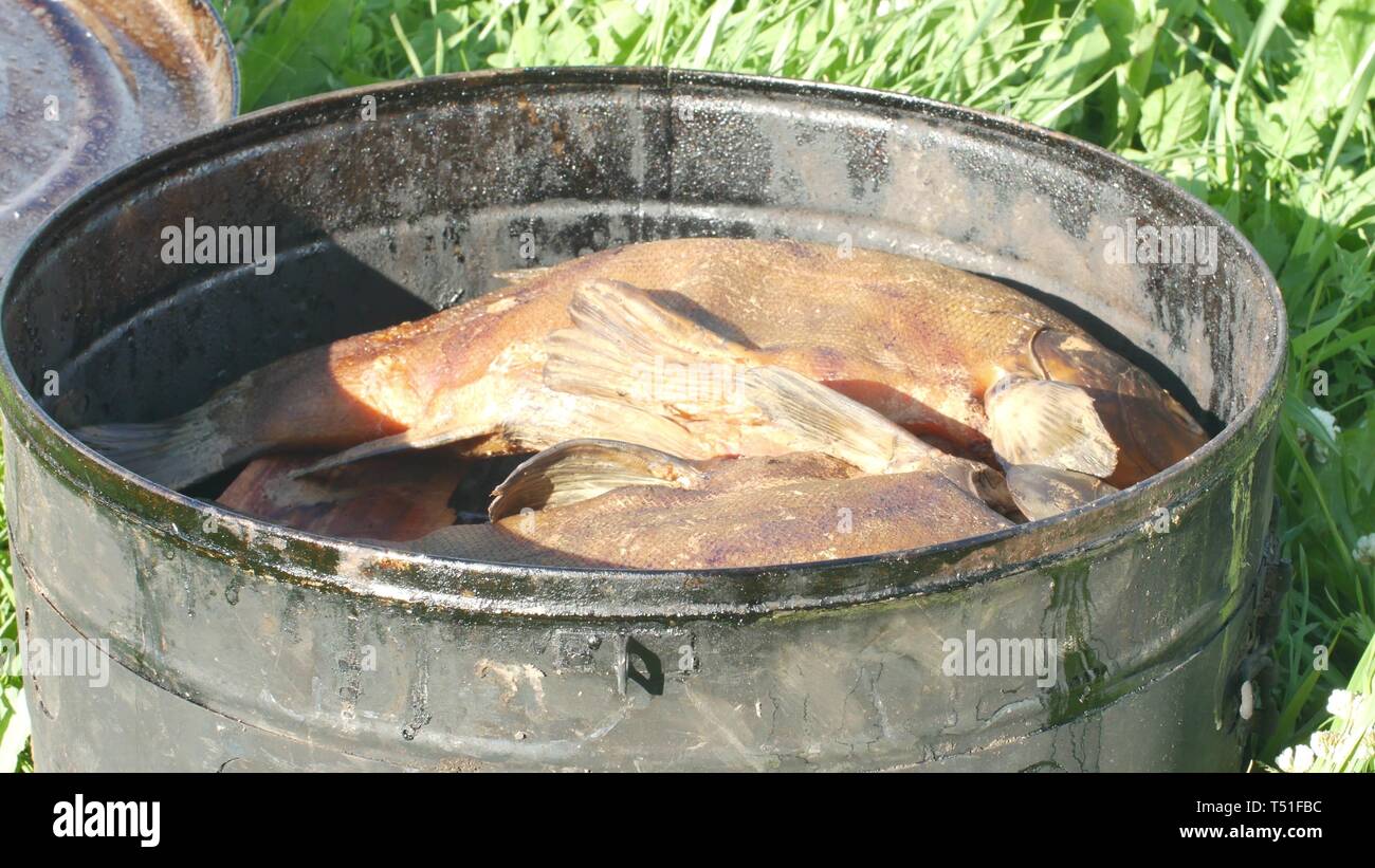 Fish Smoking Process For Home Use. Hot Smoked fhish. Close Up Smoking ...