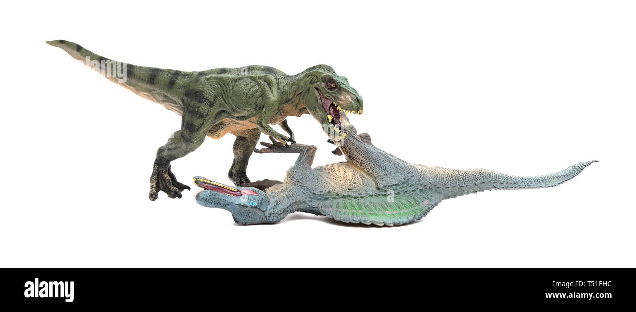 Bite force tyrannosaurus hi-res stock photography and images - Alamy