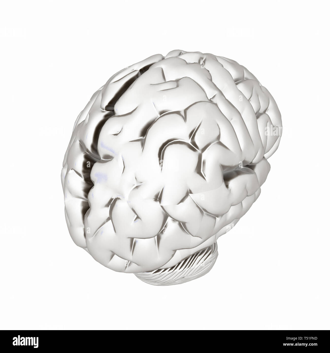 Metall human brain Stock Photo - Alamy