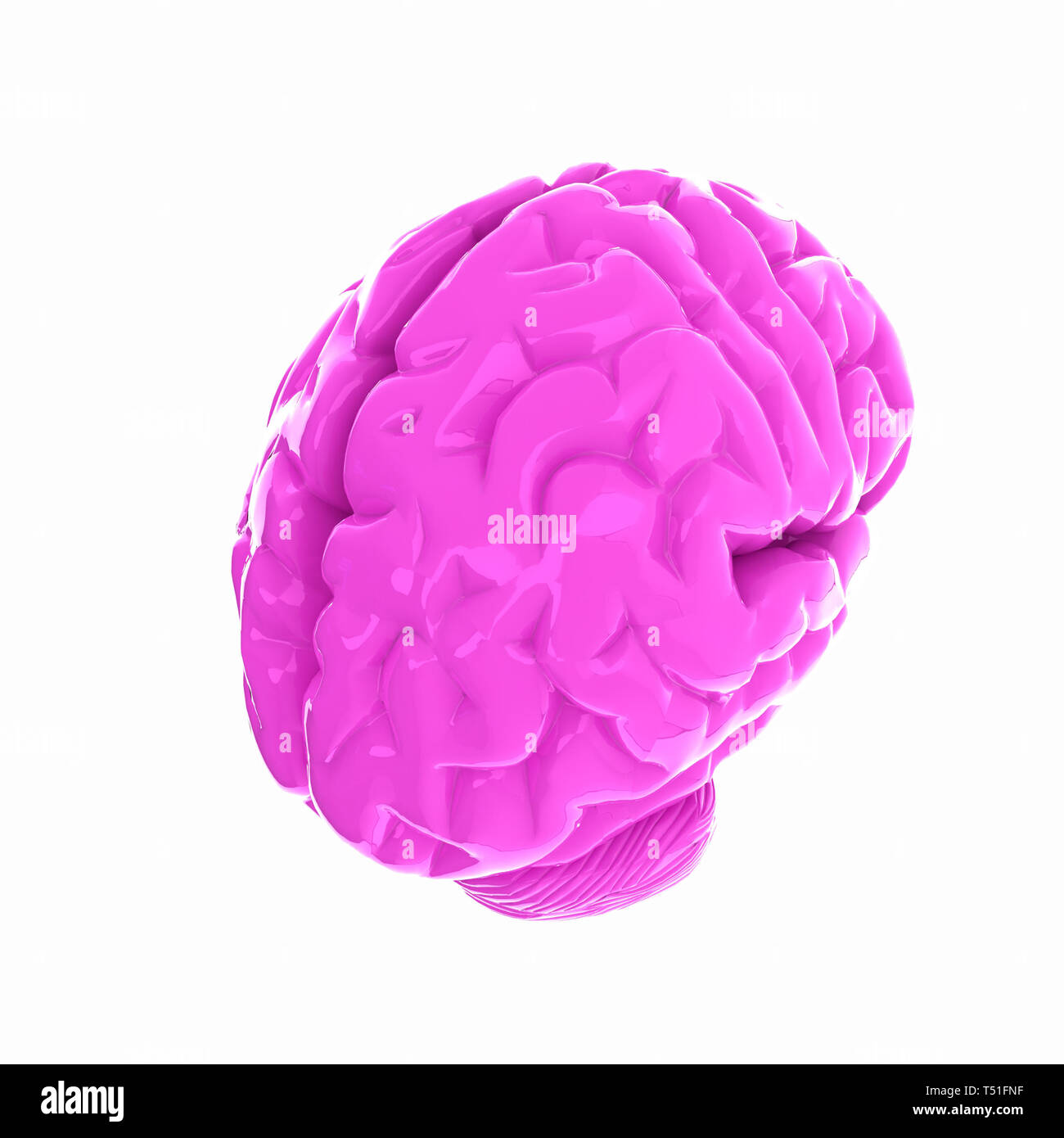 Vintage drawing brain head Cut Out Stock Images & Pictures - Alamy