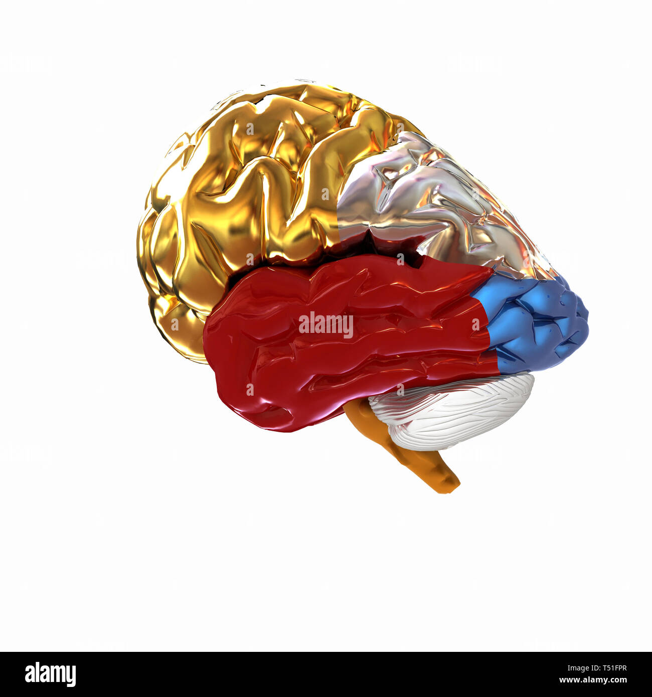 Colorfull human brain Stock Photo - Alamy