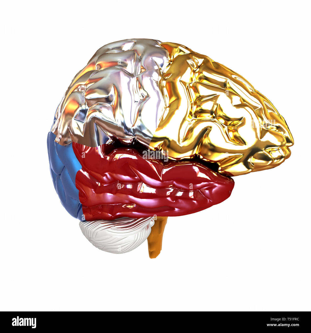 Colorfull human brain Stock Photo - Alamy