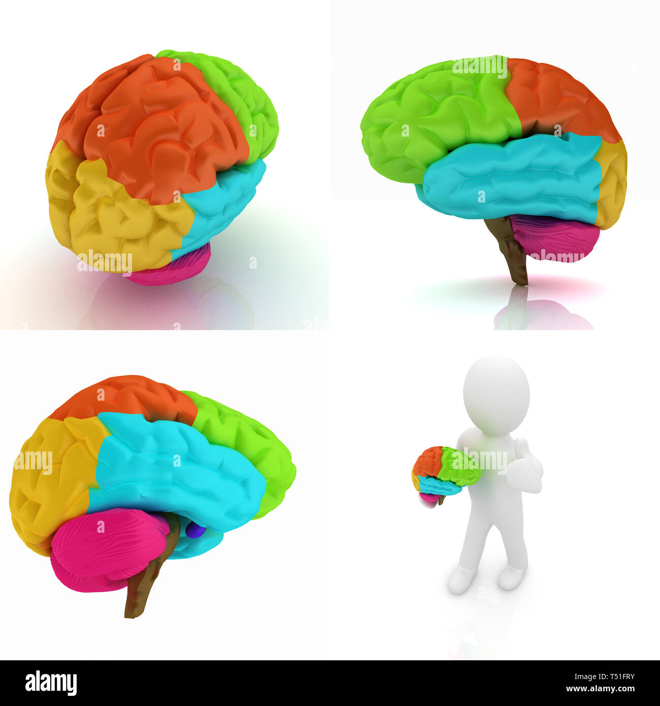 Colorfull human brain Stock Photo - Alamy