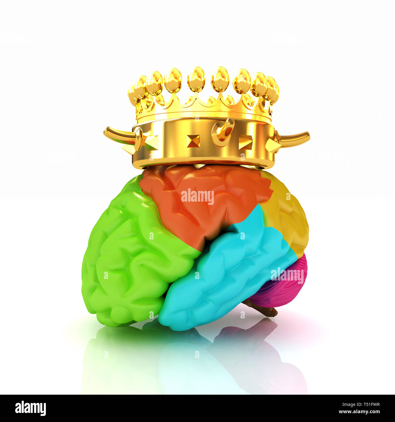 Gold Crown on the brain Stock Photo - Alamy