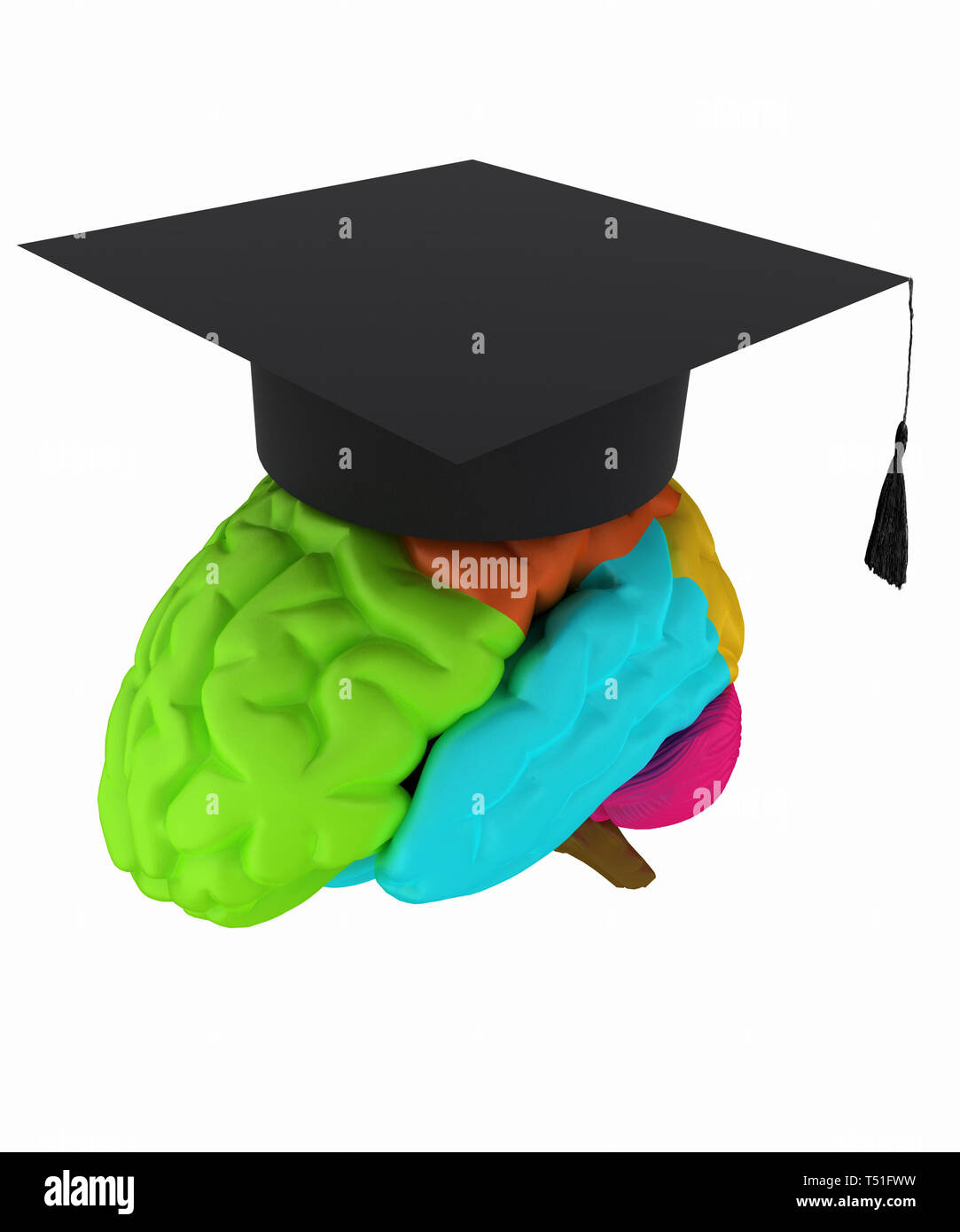 graduation hat on brain Stock Photo - Alamy