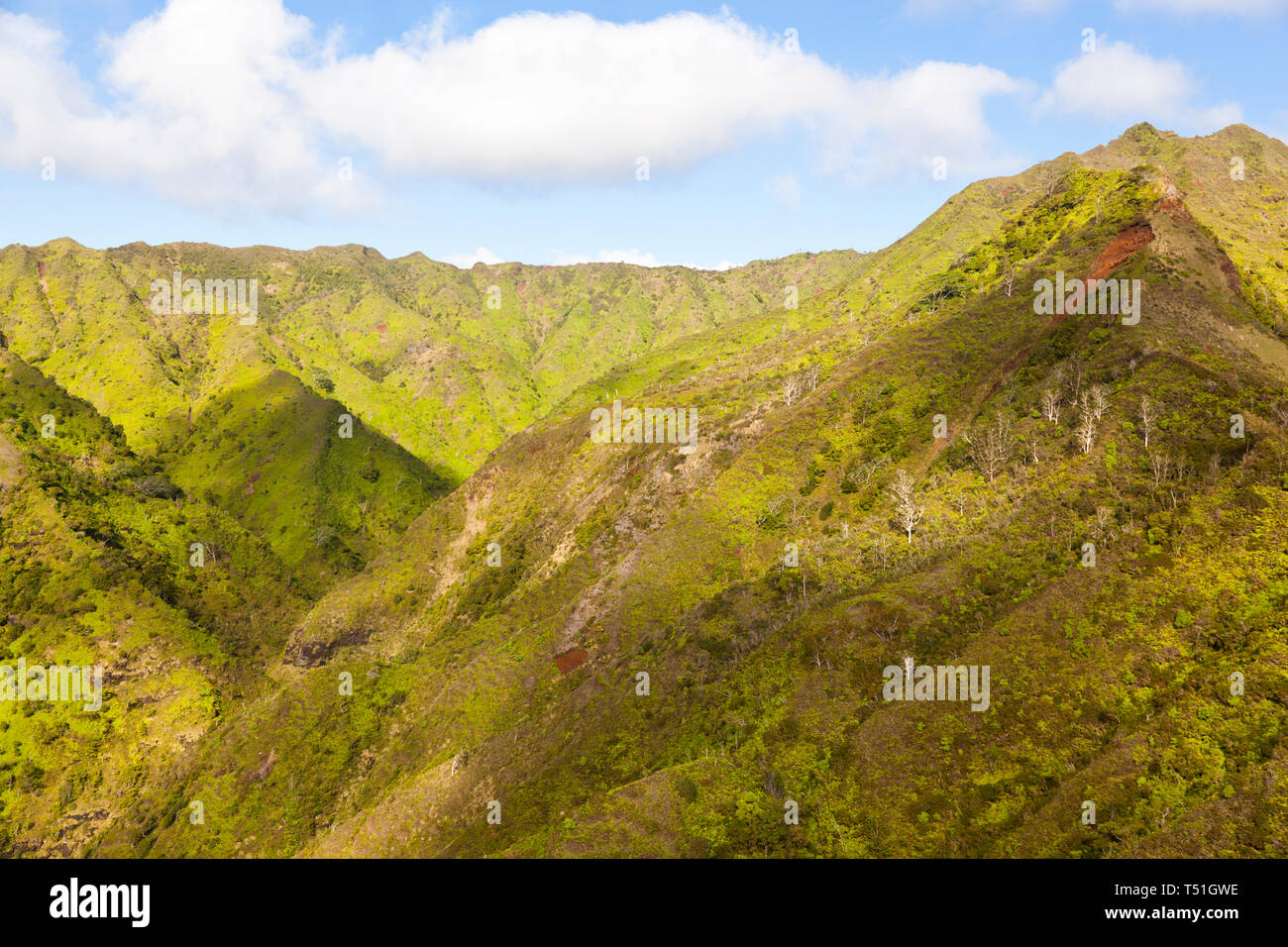 View from helicopter to the central tropical rain forest in Kauai ...