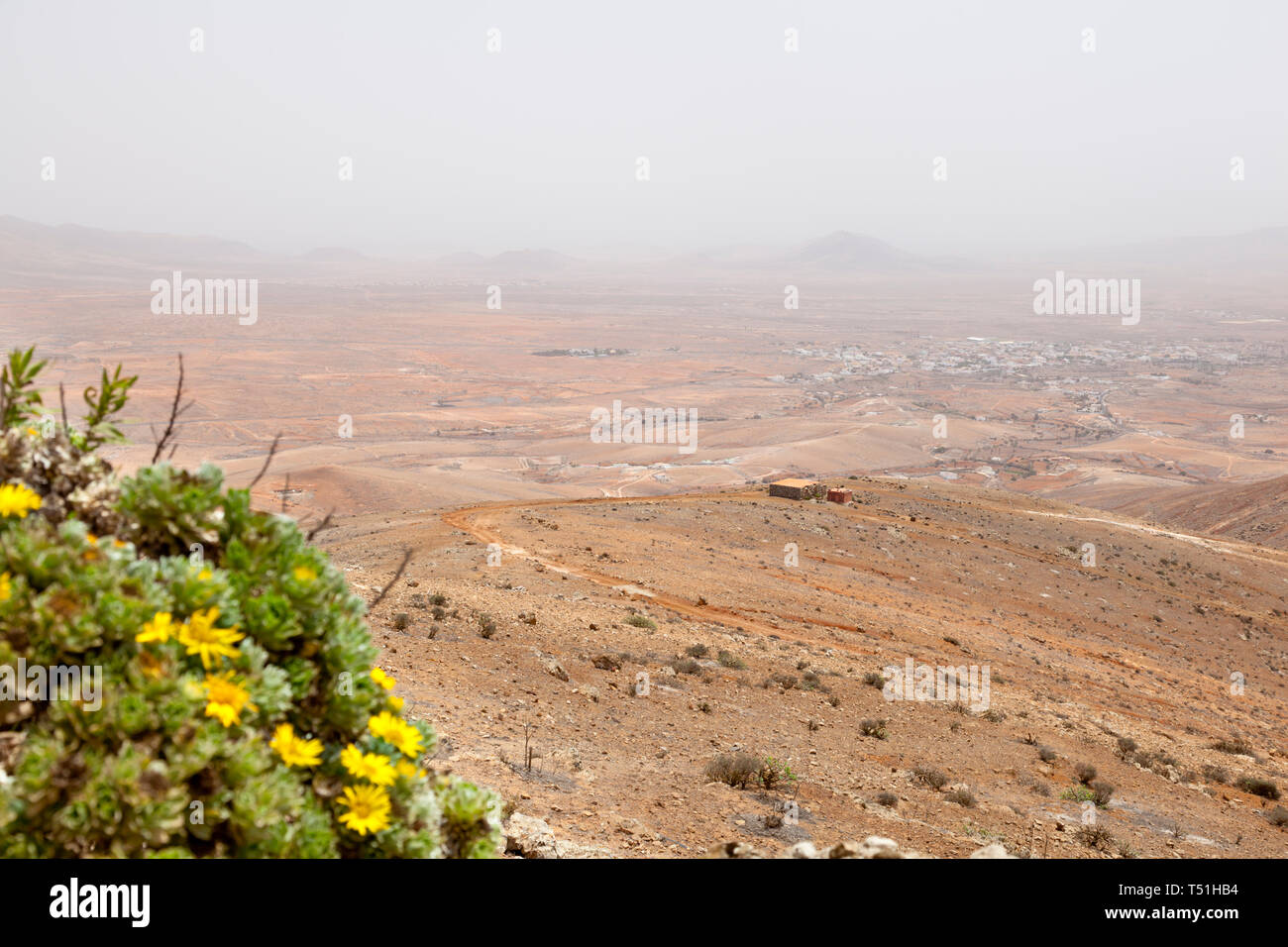 View from the Mirador Morro Velosa during a Sahara sandstorm to Antigua ...