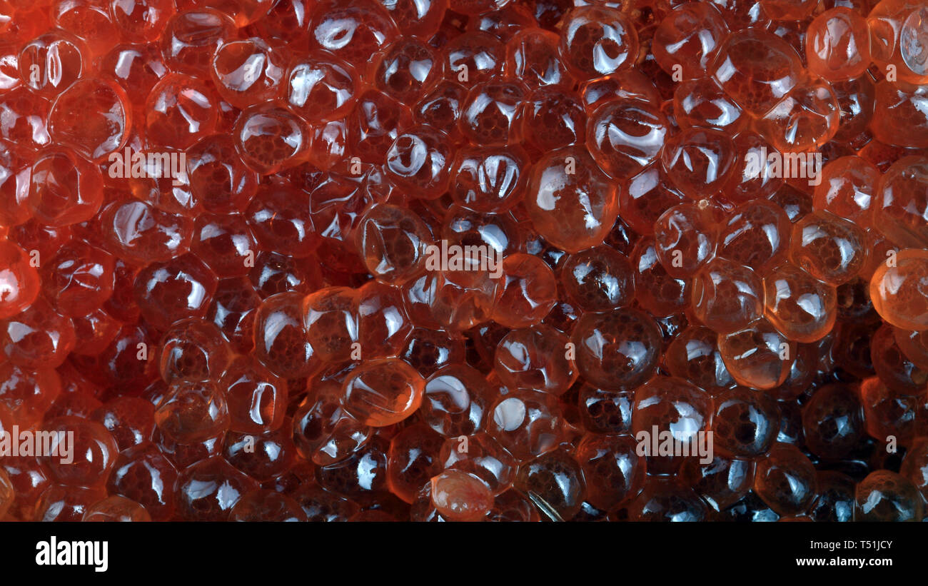 red caviar at day Stock Photo - Alamy