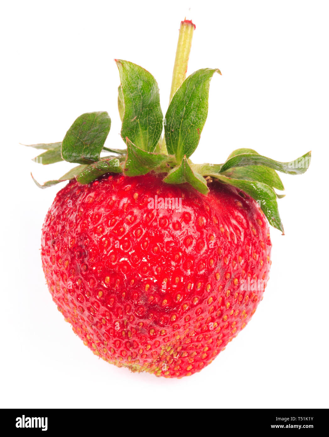 one raw red Strawberry Stock Photo - Alamy